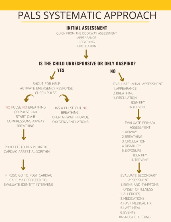 PALS systematic approach summary quick guide