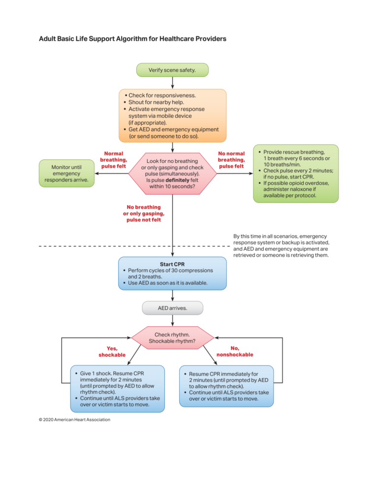 BLS Quick Reference Sheet American Heart Association